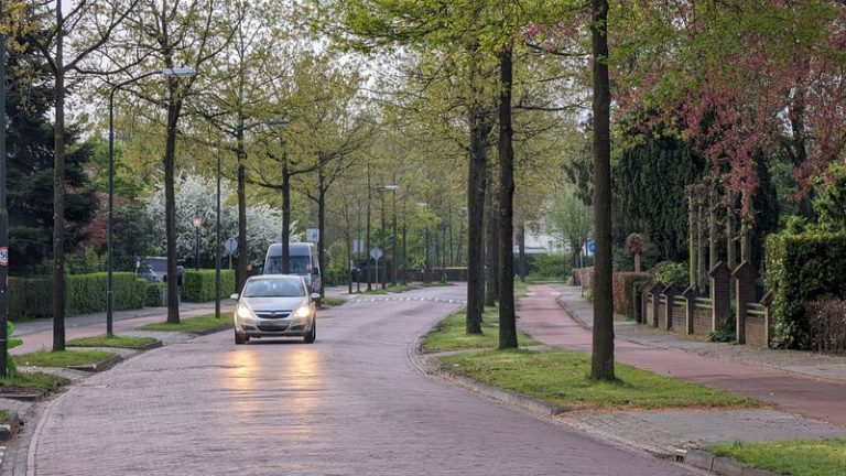 Bomenkap van zo’n 150 bomen in Oisterwijk - Khamakar News Agency