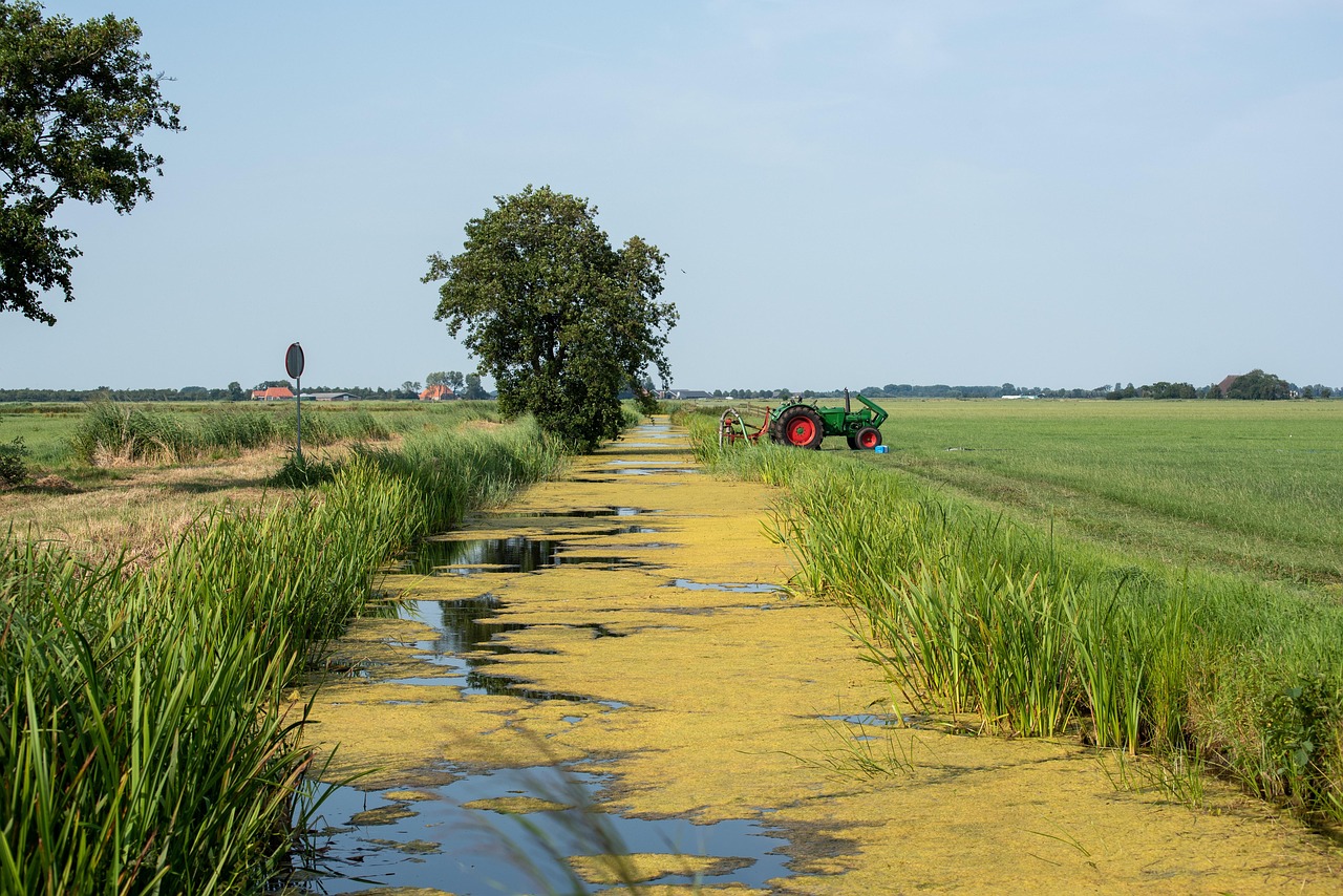 Exoten in water weghalen met Programma Gezond Water - Khamakar News Agency